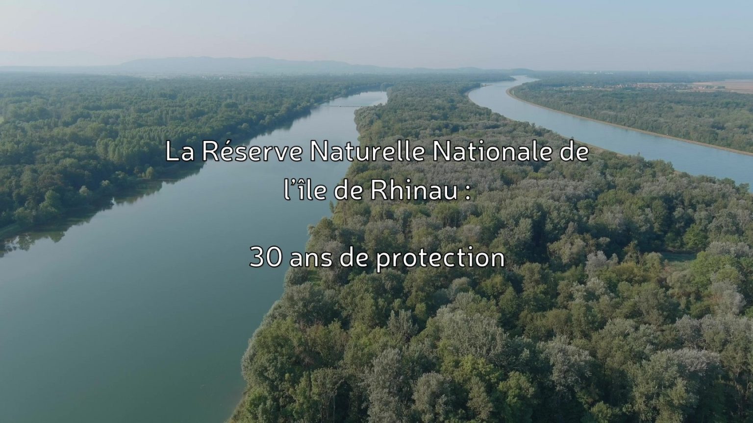 CLIP 30 ans - Réserve naturelle de l'île de Rhinau - Conservatoire d ...